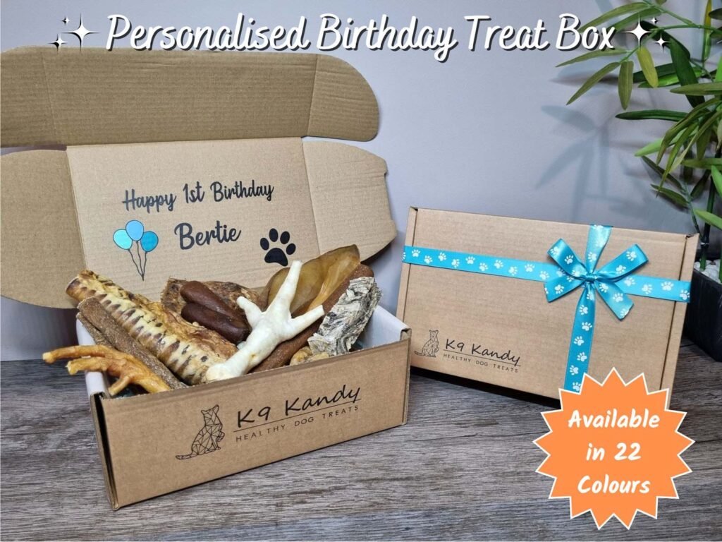 Birthday Banquet Box – K9 Kandy